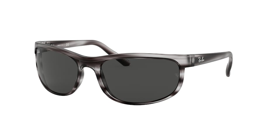 Ray-Ban RB2027 PREDATOR 2 | Sunglasses: EZContacts.com