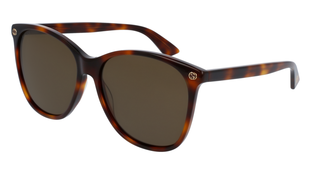 Gucci GG0024S Sunglasses | Havana 002 / Brown None Lens 58-16-140 ...