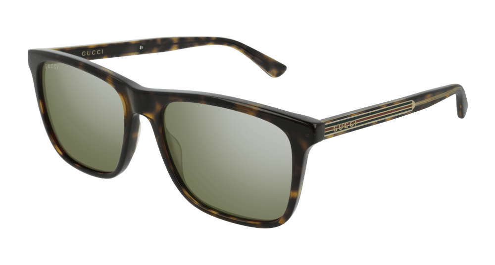 Gucci GG0381S Sunglasses | Havana 008 / Silver Flash Lens 57-18-145 ...