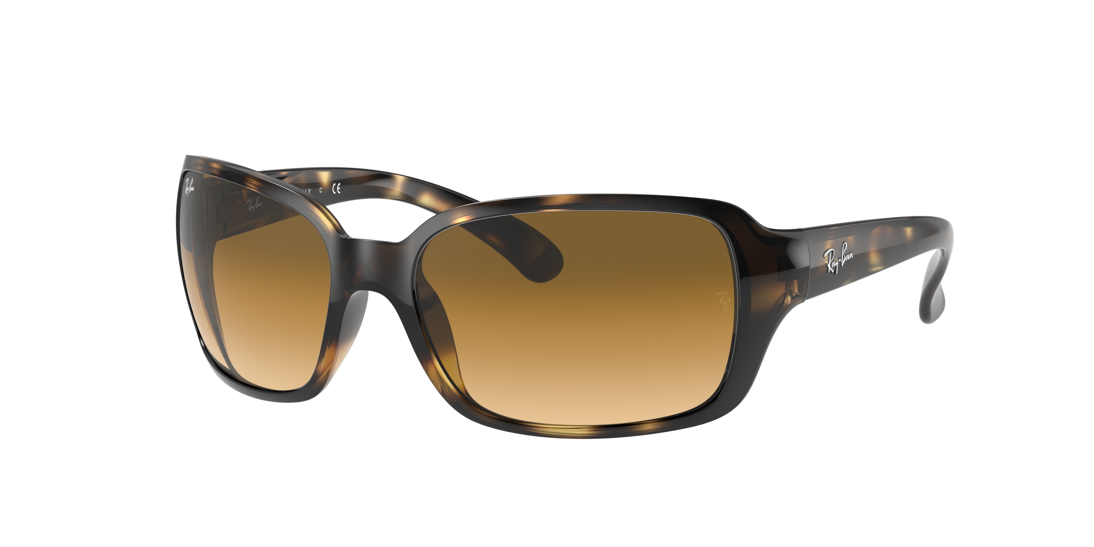 Ray-Ban RB4068 Sunglasses | Free Shipping