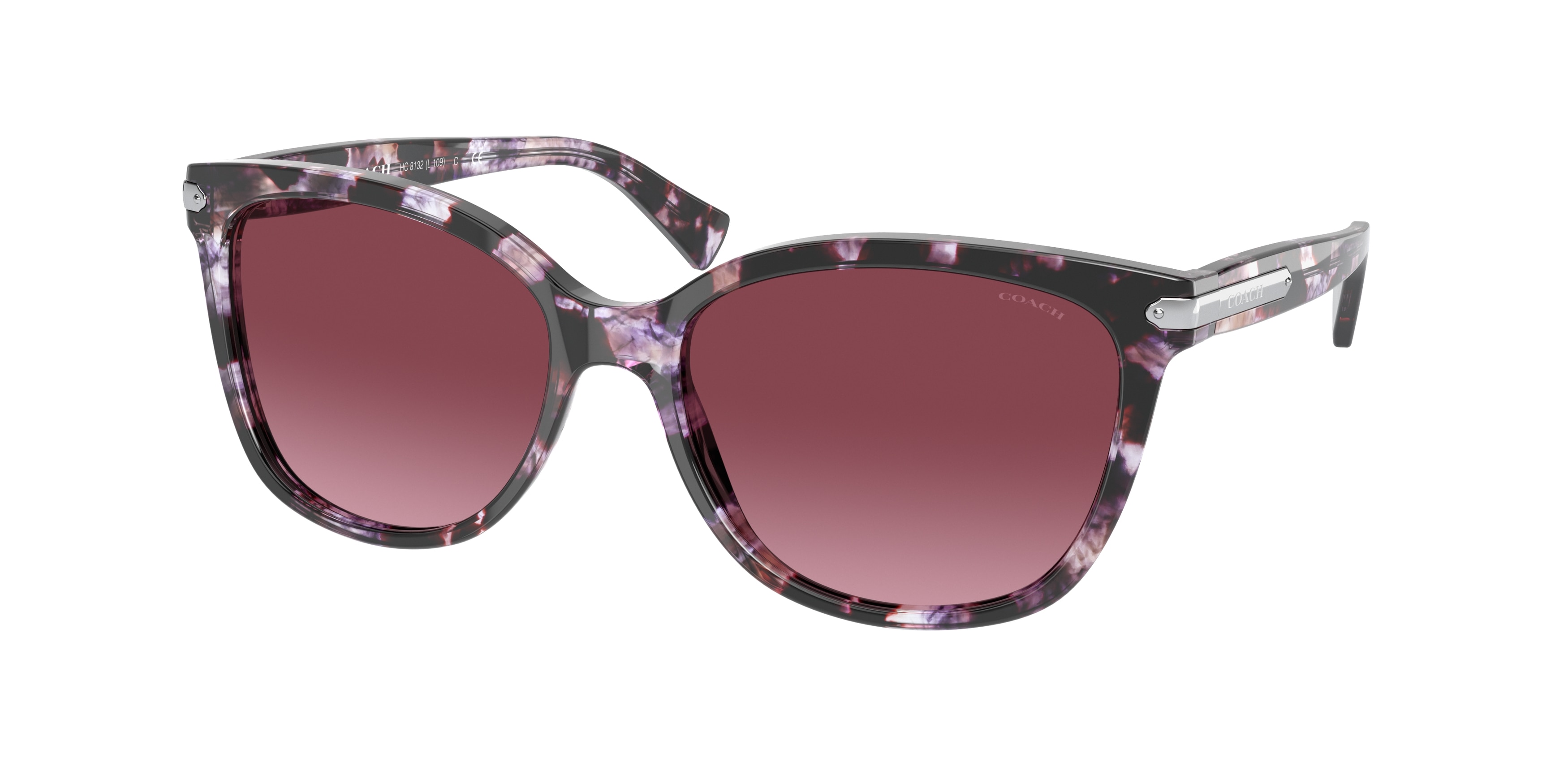 Coach HC8132 L109 Sunglasses | Free Shipping