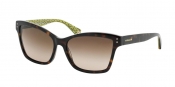 Coach HC8107 L084 Archie Sunglasses | (Discontinued) | EZContacts.com