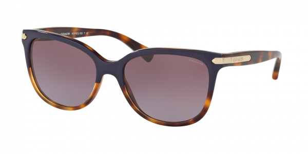 Coach HC8132 L109 Sunglasses | Free Shipping