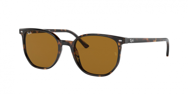 Ray-Ban RB2197 ELLIOT Sunglasses | 135757 Havana Brown Grey / brown ...