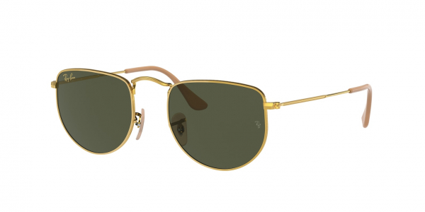 Ray-Ban RB3958 ELON Sunglasses | Free Shipping | EZContacts.com