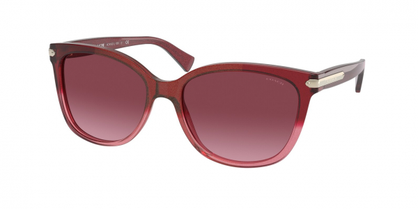 Coach HC8132 L109 Sunglasses | Free Shipping