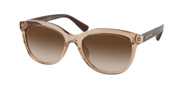 Coach HC8285U L1137 Sunglasses | 5002T3 Black / dark grey gradient ...