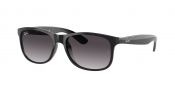 Ray-Ban RB4202 ANDY Sunglasses | 606971 Matte Black ON Black / Green ...