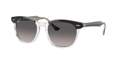 Ray-Ban RB2298 HAWKEYE Sunglasses | 954/33 Striped Havana / brown Lens ...