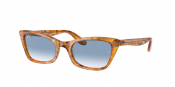 Ray-Ban RB2299 LADY BURBANK Sunglasses | Free Shipping
