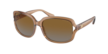 Coach HC8169 L149 Sunglasses | Free Shipping