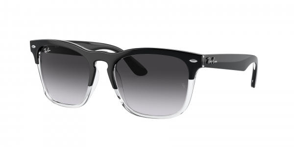 Ray-Ban RB4487 STEVE Sunglasses | Free Shipping
