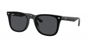 Ray-Ban RB4420 Sunglasses | Free Shipping