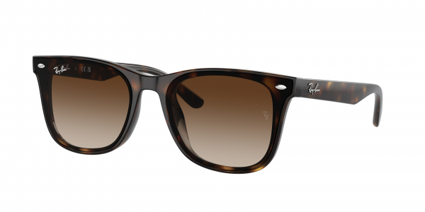 Ray-Ban RB4420 Sunglasses | Free Shipping