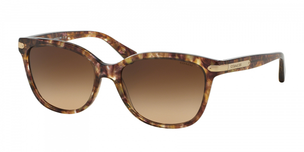 Coach HC8132 L109 Sunglasses | Free Shipping