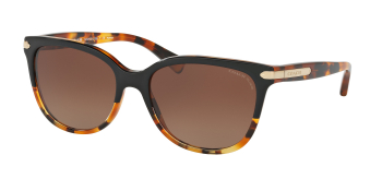 Coach HC8132 L109 Sunglasses | Free Shipping