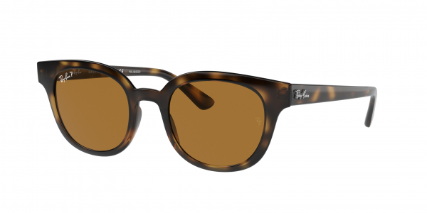 Ray-Ban RB4324 Sunglasses | Free Shipping