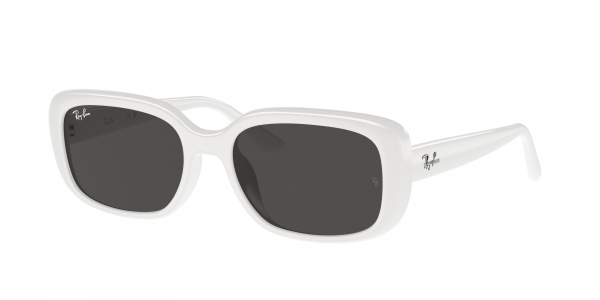 Ray-Ban RB4421D Sunglasses | Free Shipping