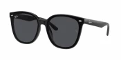 Ray-Ban RB4423D Sunglasses | Free Shipping