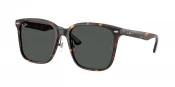 Ray-Ban RB2206D Sunglasses | Free Shipping
