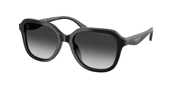 Coach HC8437U CBY87 0HC8437U Sunglasses | Free Shipping