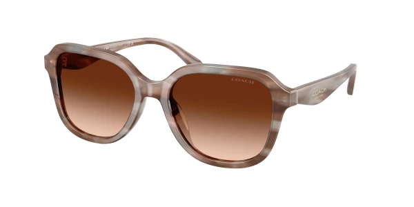 Coach HC8437U CBY87 0HC8437U Sunglasses | Free Shipping